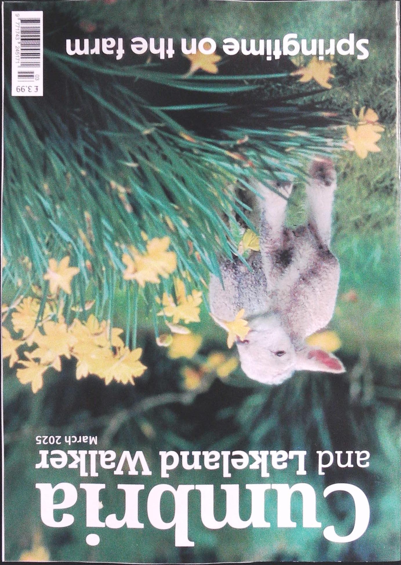 Buy CUMBRIA (MONTHLY) from Magazine Supermarket